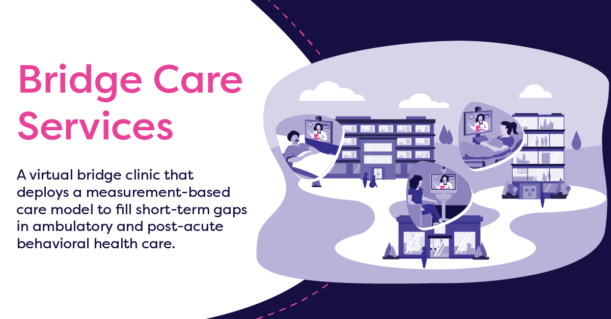 Behavioral Health Integration | Bridge Care Services